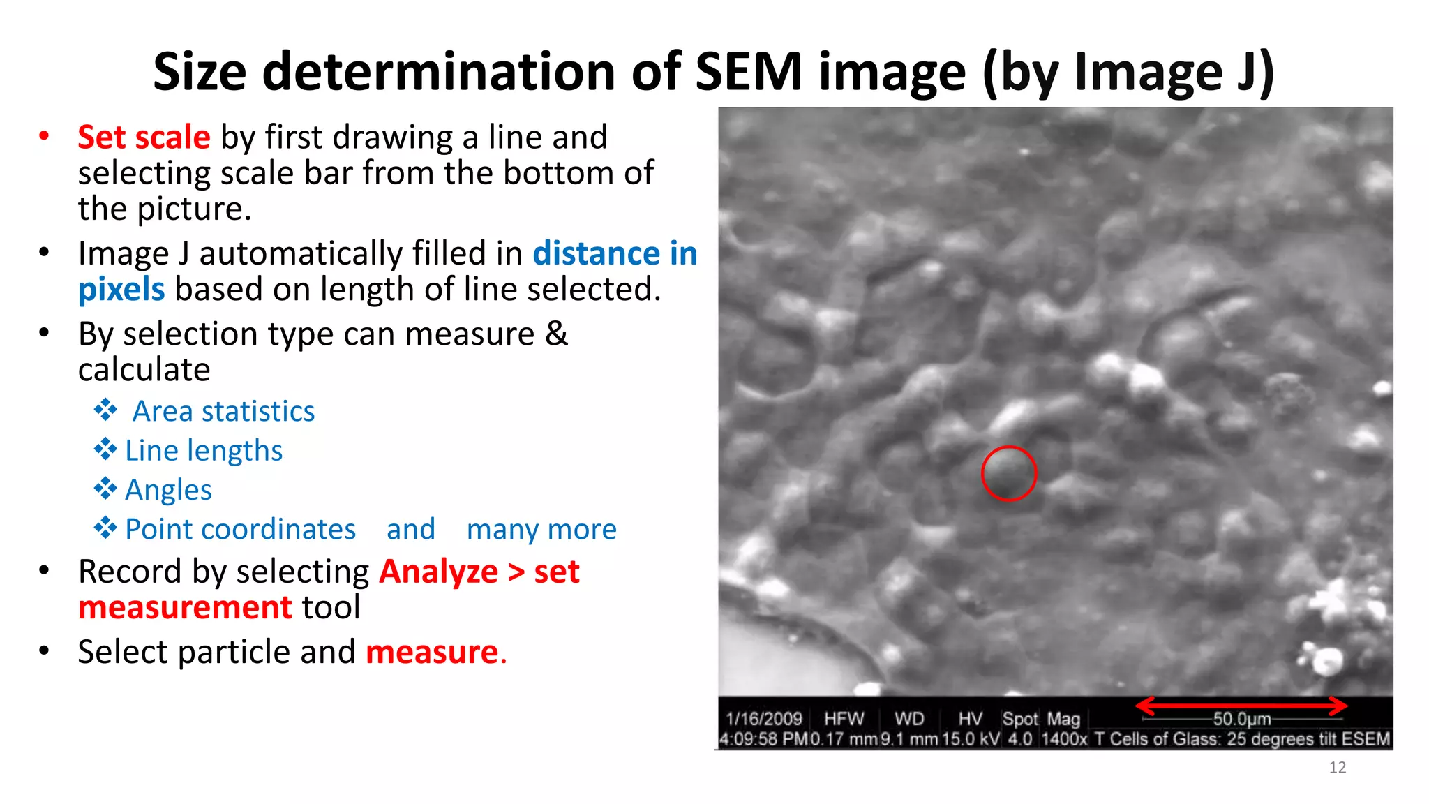 Particle size by sem and xrd | PPTX