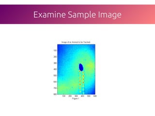 Particle tracking | PDF