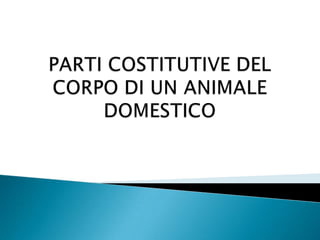 Parti costitutive del corpo di un animale domestico | PPTX
