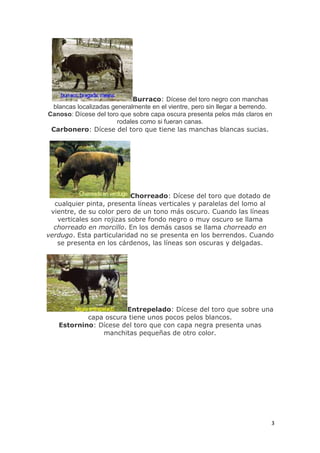 Particularidades en las capas del toro de lidia | PDF