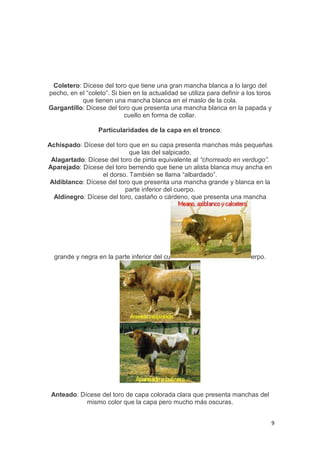 Particularidades en las capas del toro de lidia | PDF
