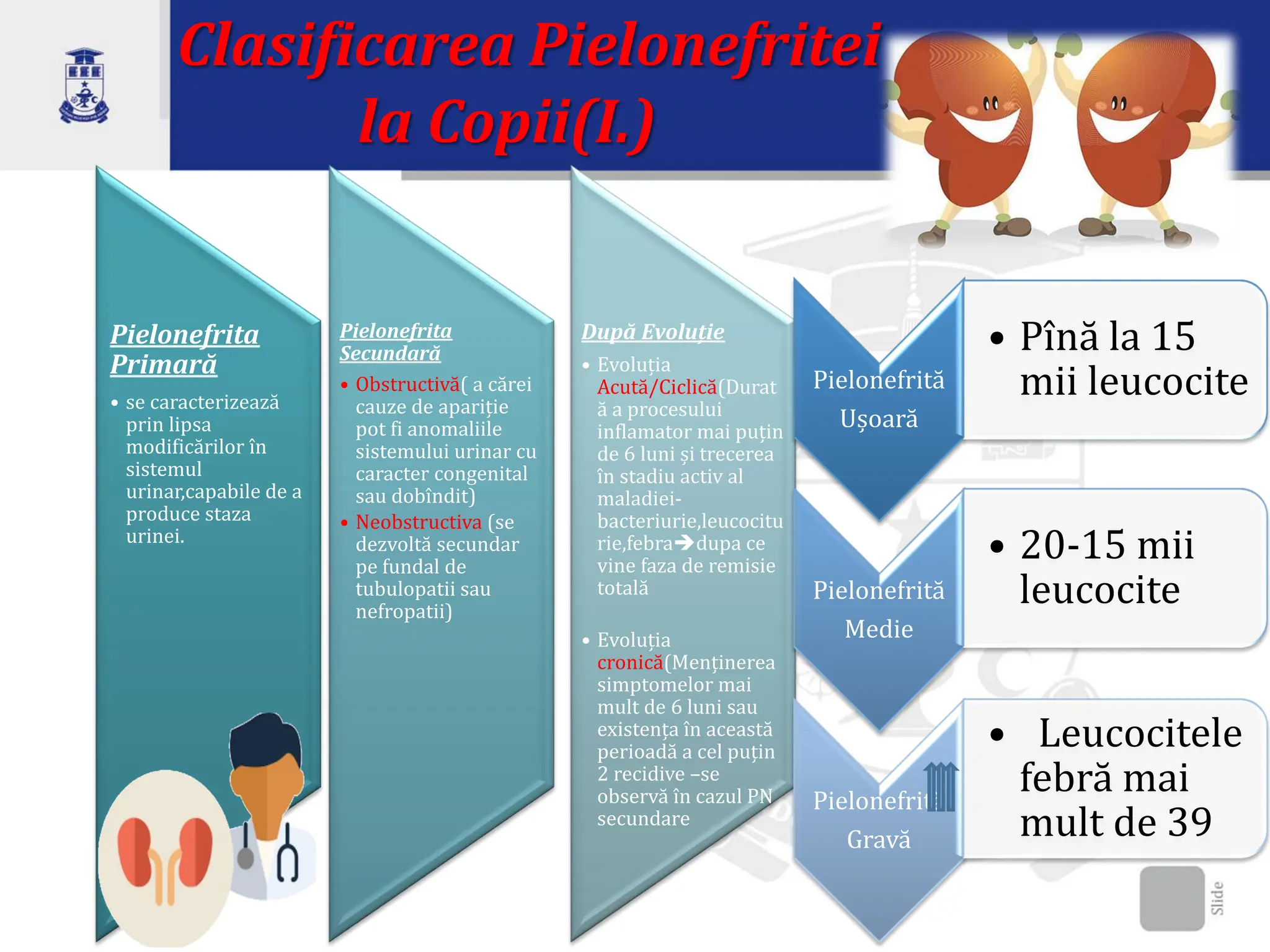 Particularitățile anatomofuncționale a sistemului renourinar la copii.pdf