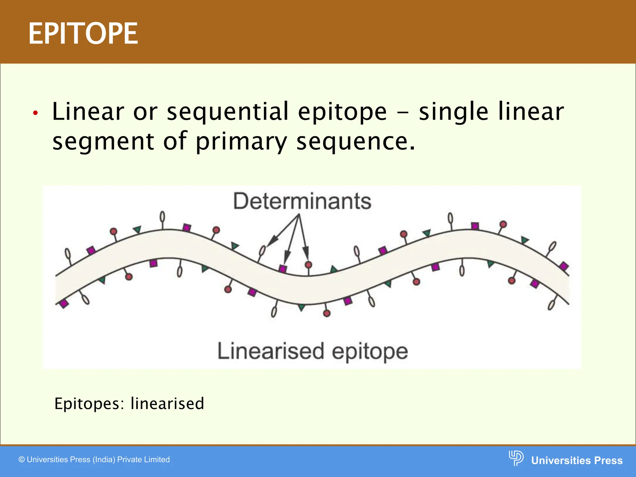 Antigens description binding part 2 .ppt