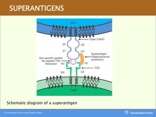 Antigens description binding part 2 .ppt