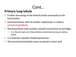 Part ii airway | PPT