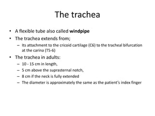 Part ii airway | PPT