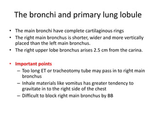 Part ii airway | PPT