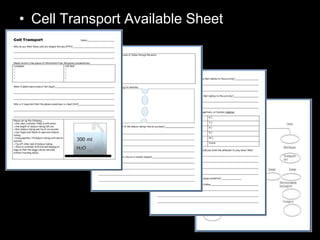 Cell Transport, Osmosis, Diffusion, Active Transport, Biology Lesson ...