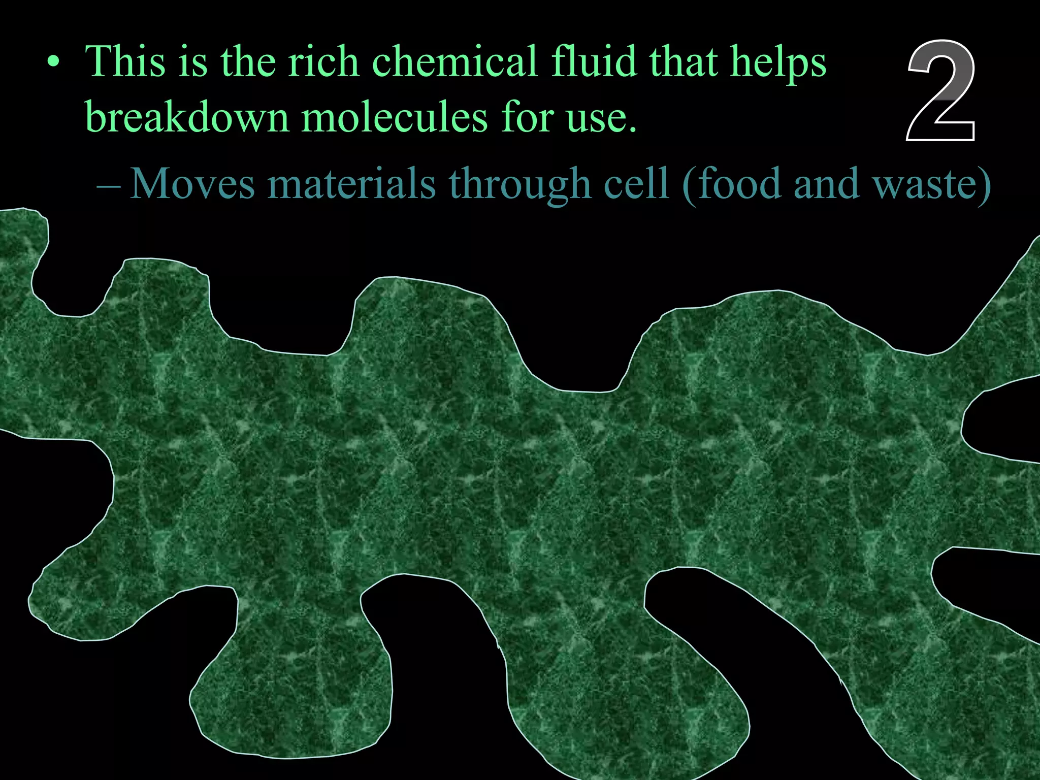 Cell Transport, Osmosis, Diffusion, Active Transport PowerPoint Review ...