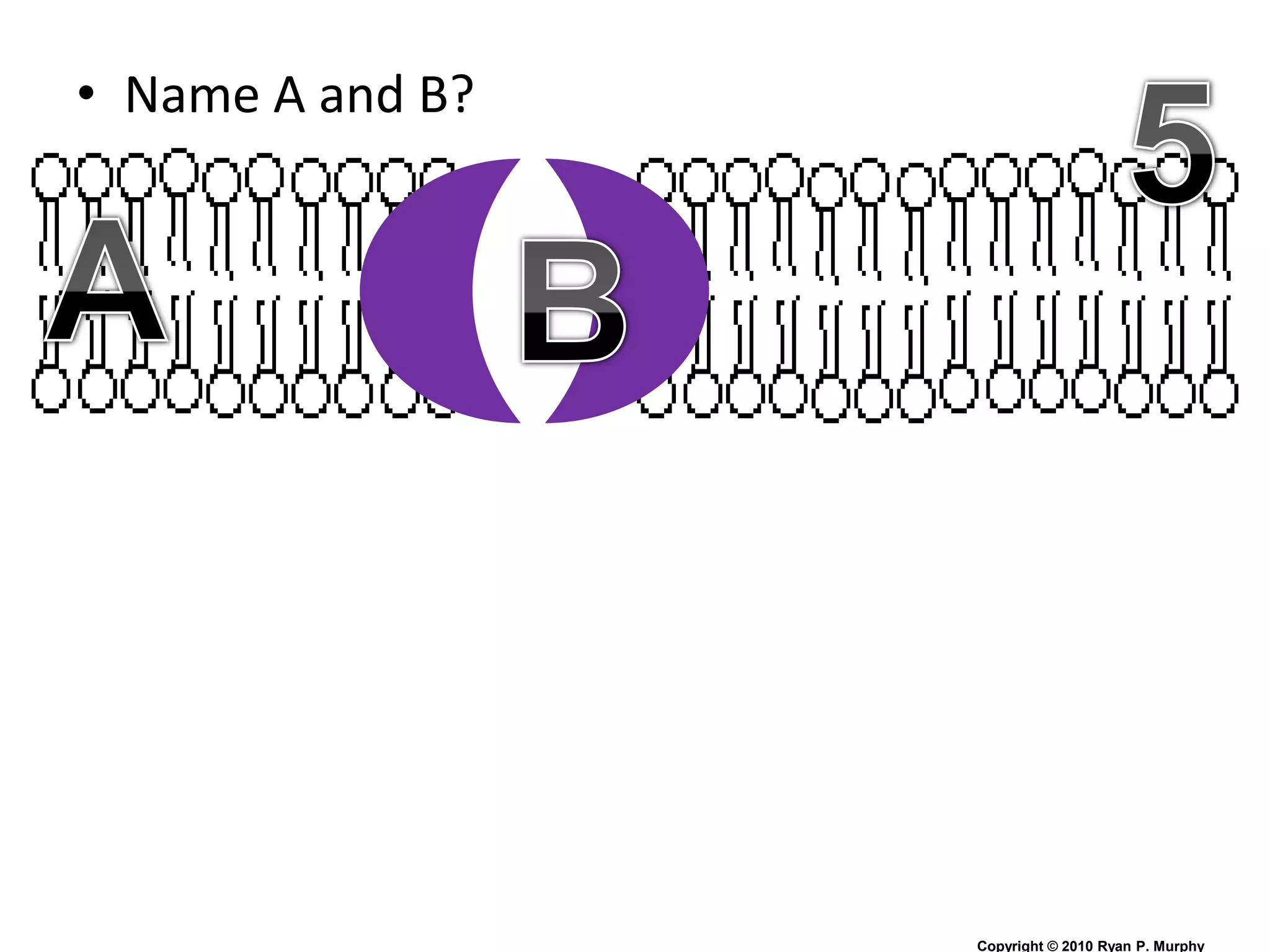 Cell Transport, Osmosis, Diffusion, Active Transport PowerPoint Review ...