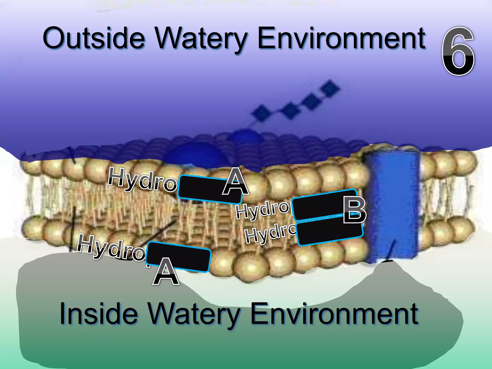 Cell Transport, Osmosis, Diffusion, Active Transport PowerPoint Review ...