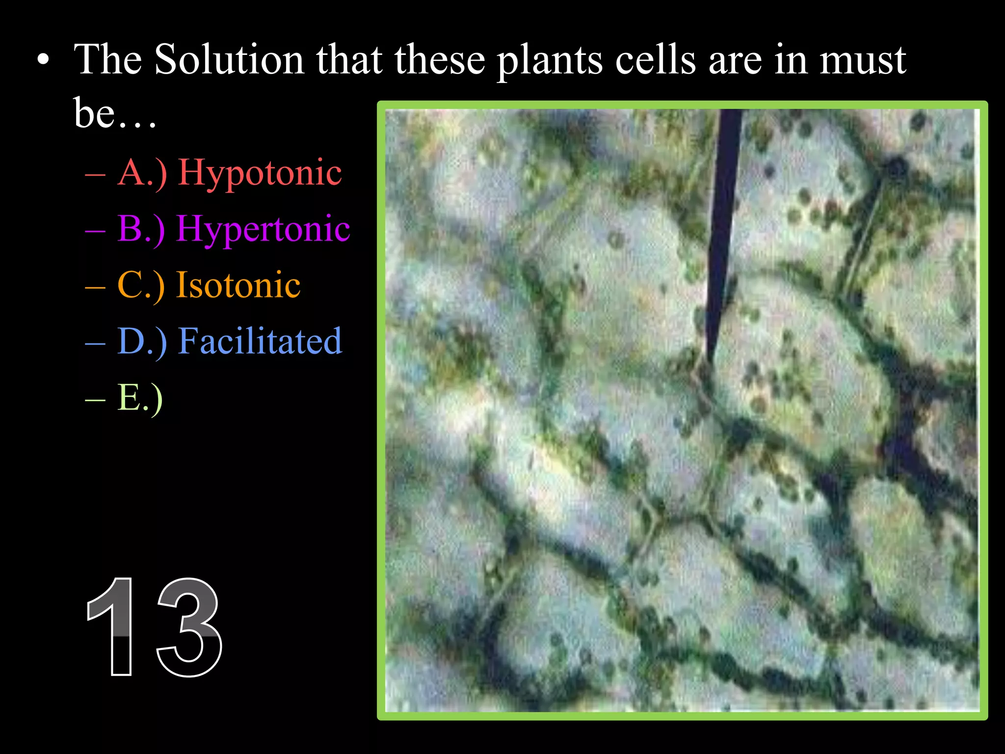 Cell Transport, Osmosis, Diffusion, Active Transport PowerPoint Review ...