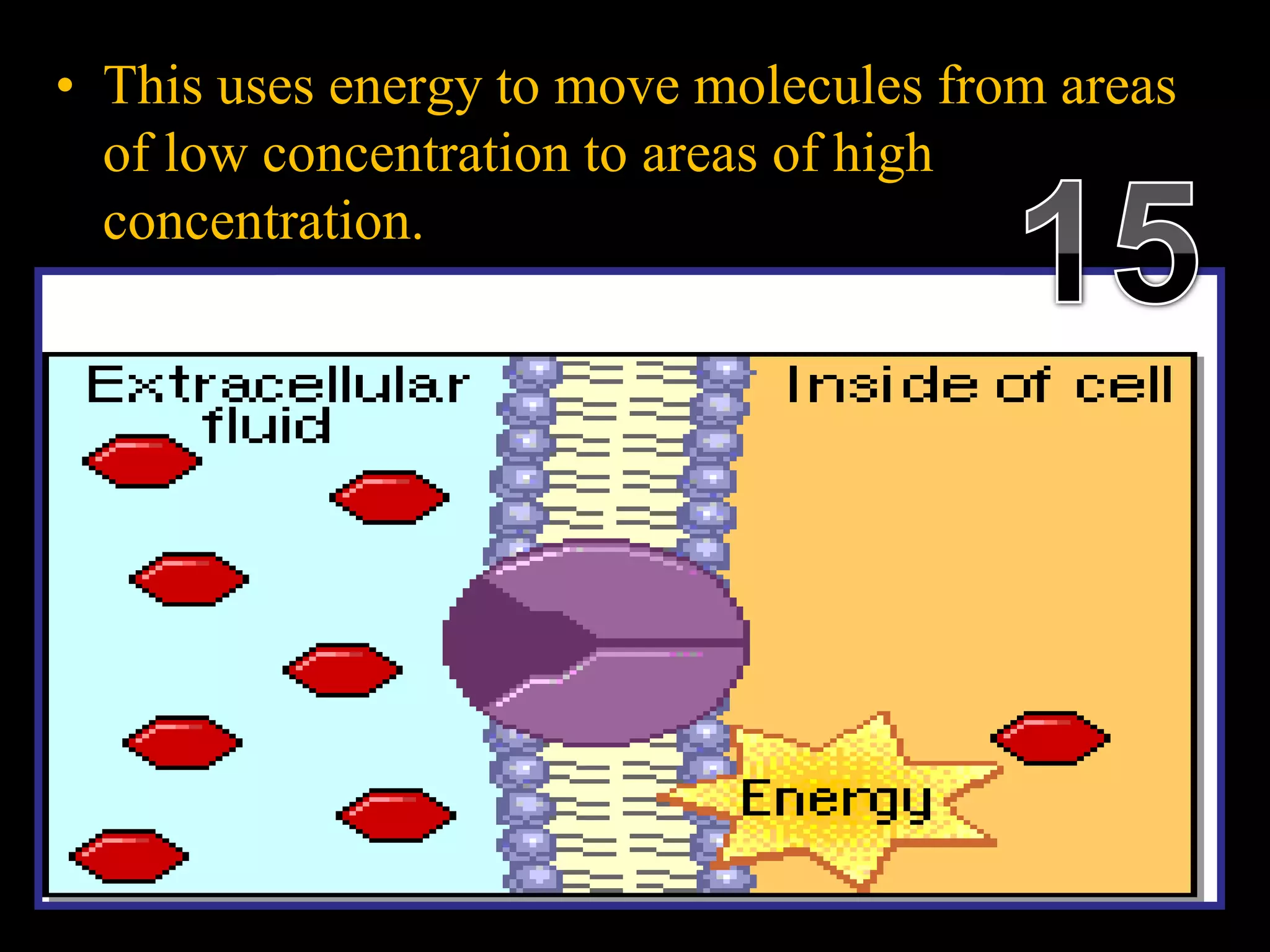 Cell Transport, Osmosis, Diffusion, Active Transport PowerPoint Review ...