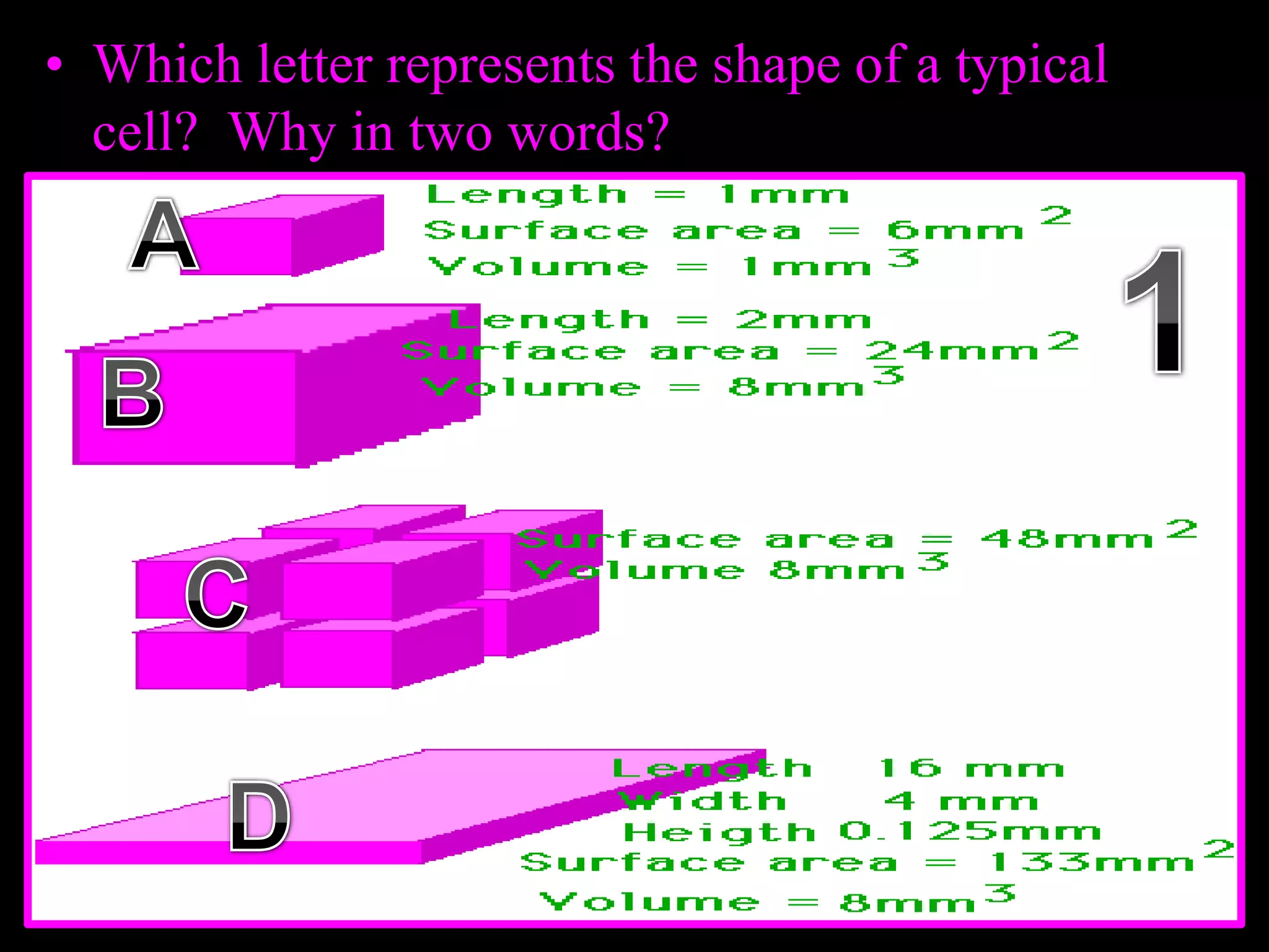Cell Transport, Osmosis, Diffusion, Active Transport PowerPoint Review ...