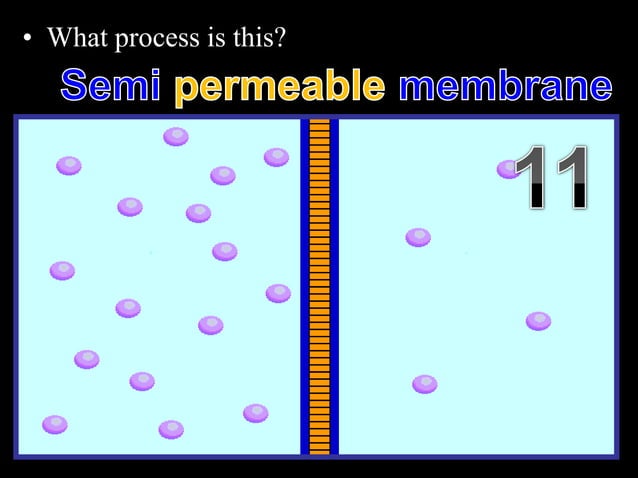 Cell Transport, Osmosis, Diffusion, Active Transport PowerPoint Review ...