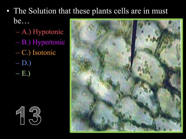 Cell Transport, Osmosis, Diffusion, Active Transport PowerPoint Review ...