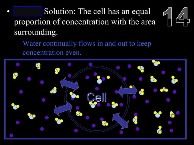 Cell Transport, Osmosis, Diffusion, Active Transport PowerPoint Review ...
