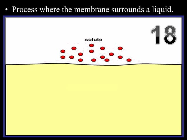 Cell Transport, Osmosis, Diffusion, Active Transport PowerPoint Review ...
