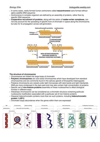 DNA, chromosomes and genomes Notes | PDF