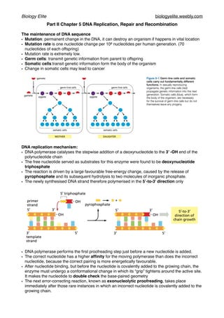 DNA replication, repair and recombination Notes | PDF
