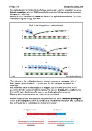 DNA replication, repair and recombination Notes | PDF