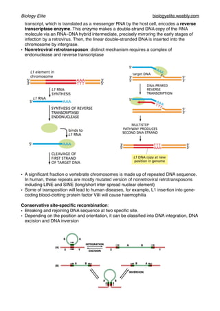 DNA replication, repair and recombination Notes | PDF