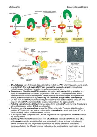 DNA replication, repair and recombination Notes | PDF