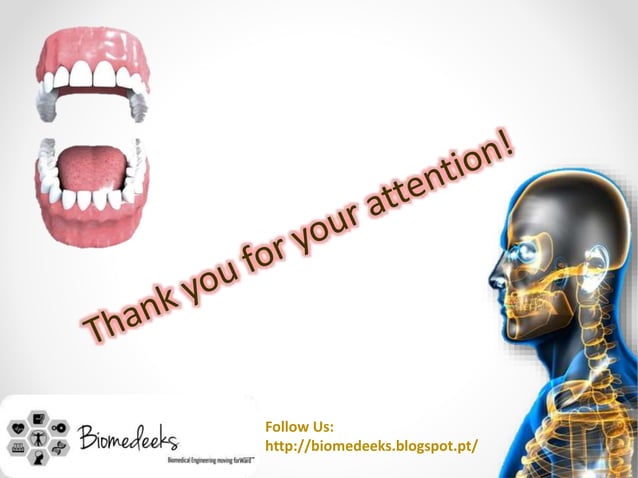 Dental Anatomy | PPT