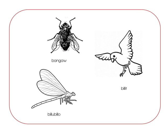 Part iii iluko module | PPT