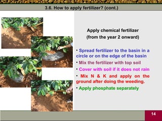 Part iii fertilizer management en | PPT