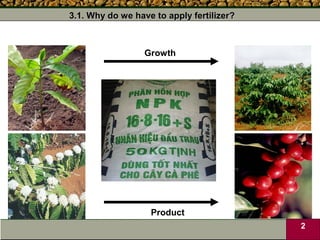 Part iii fertilizer management en | PPT