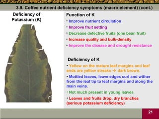 Part iii fertilizer management en | PPT