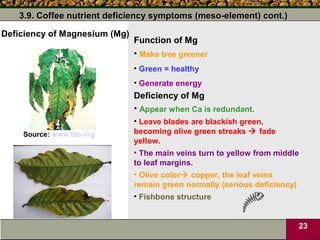 Part iii fertilizer management en | PPT
