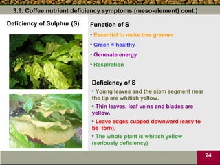 Part iii fertilizer management en | PPT