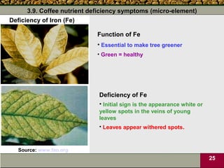 Part iii fertilizer management en | PPT