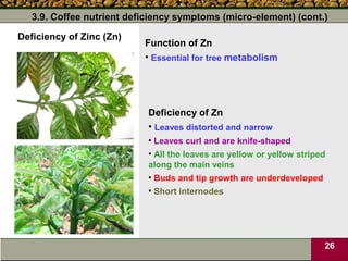 Part iii fertilizer management en | PPT