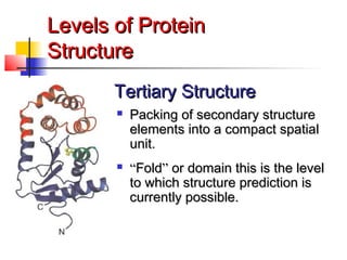 Part I : Introduction to Protein Structure | PPT | Chemistry | Science
