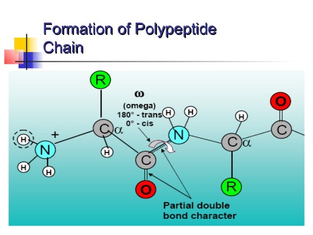 Part I : Introduction to Protein Structure