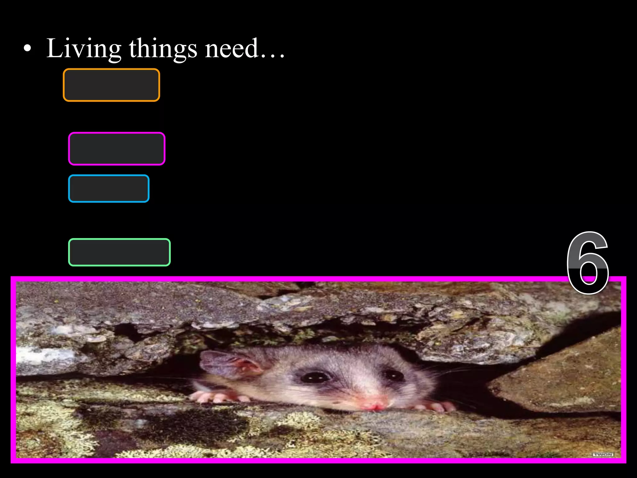 Introduction to Cell Biology PowerPoint Review Game, Quiz, Cells, Cell ...