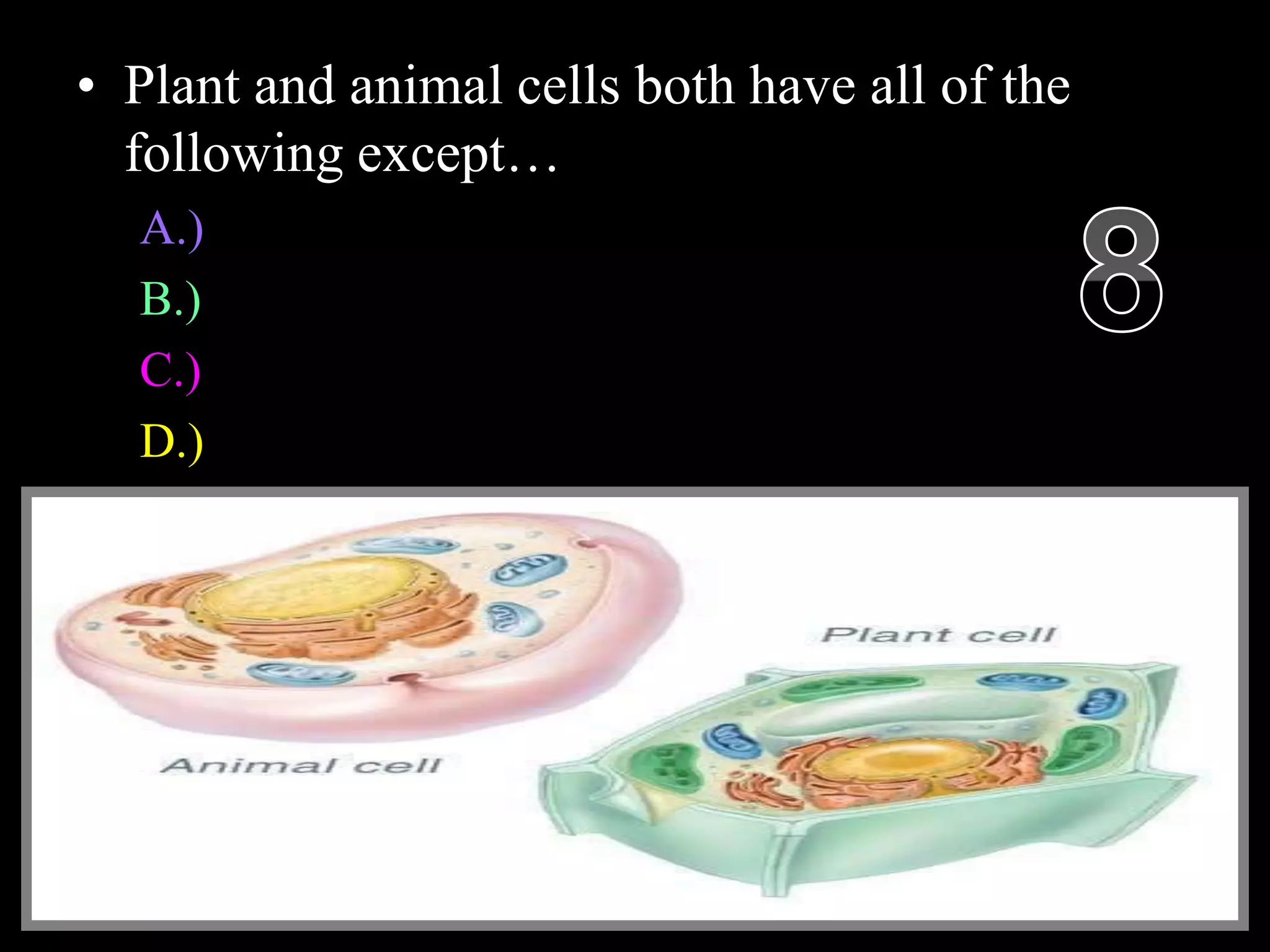 Introduction to Cell Biology PowerPoint Review Game, Quiz, Cells, Cell ...