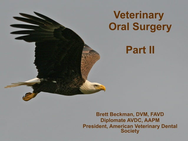 Veterinary Oral Surgery for Dogs and Cats Part II | PPT