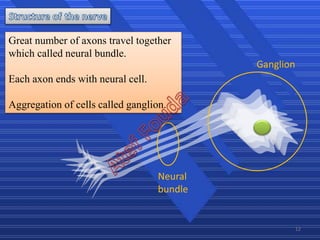 Part [1] local anesthesia for dental students | PPSX