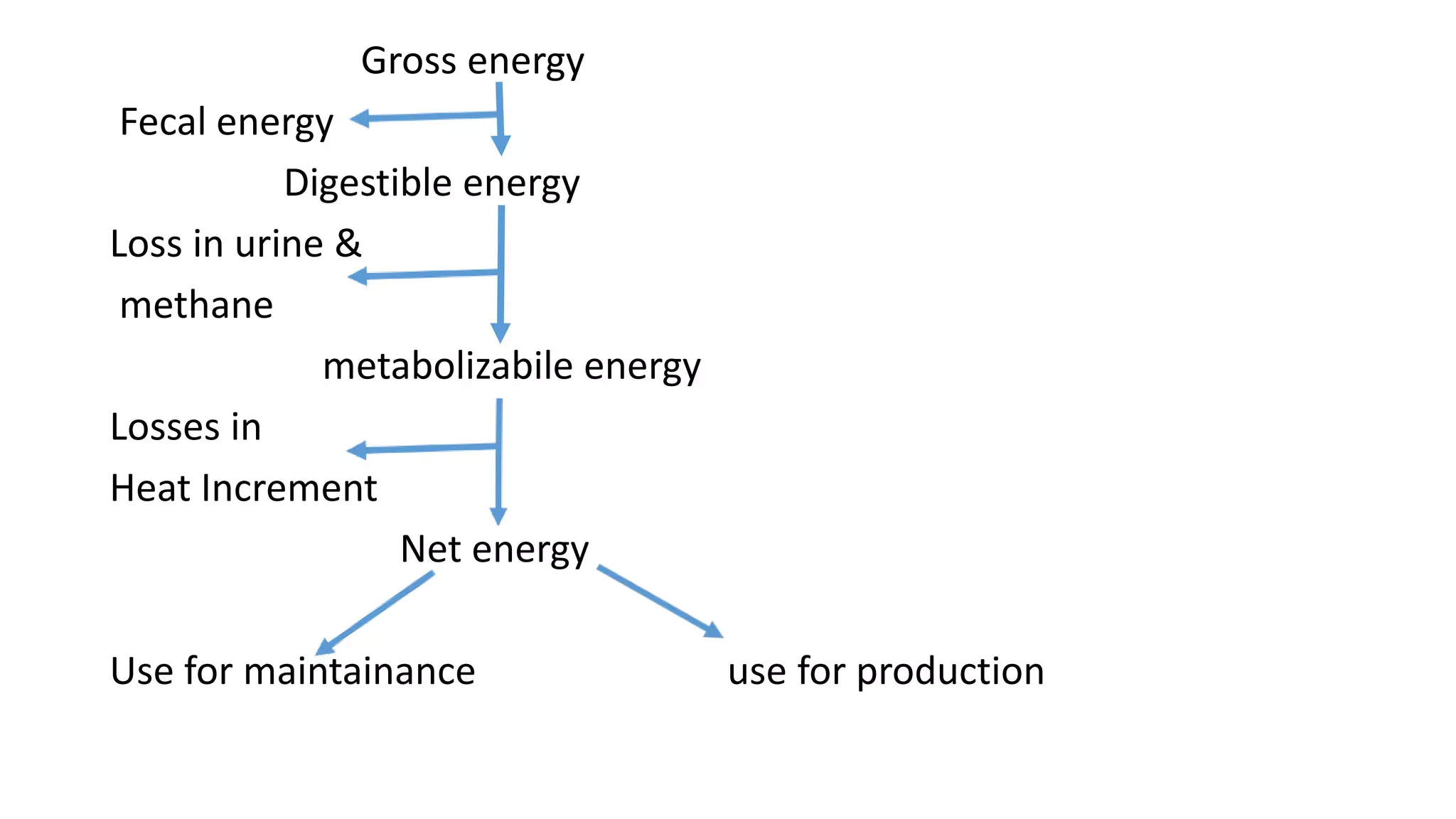 Partitioning of feed energy | PPTX