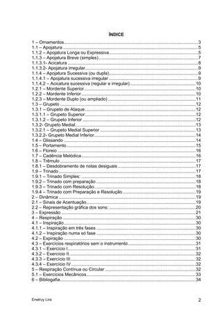 Apostila de Teoria - Enelruy Lira | PDF
