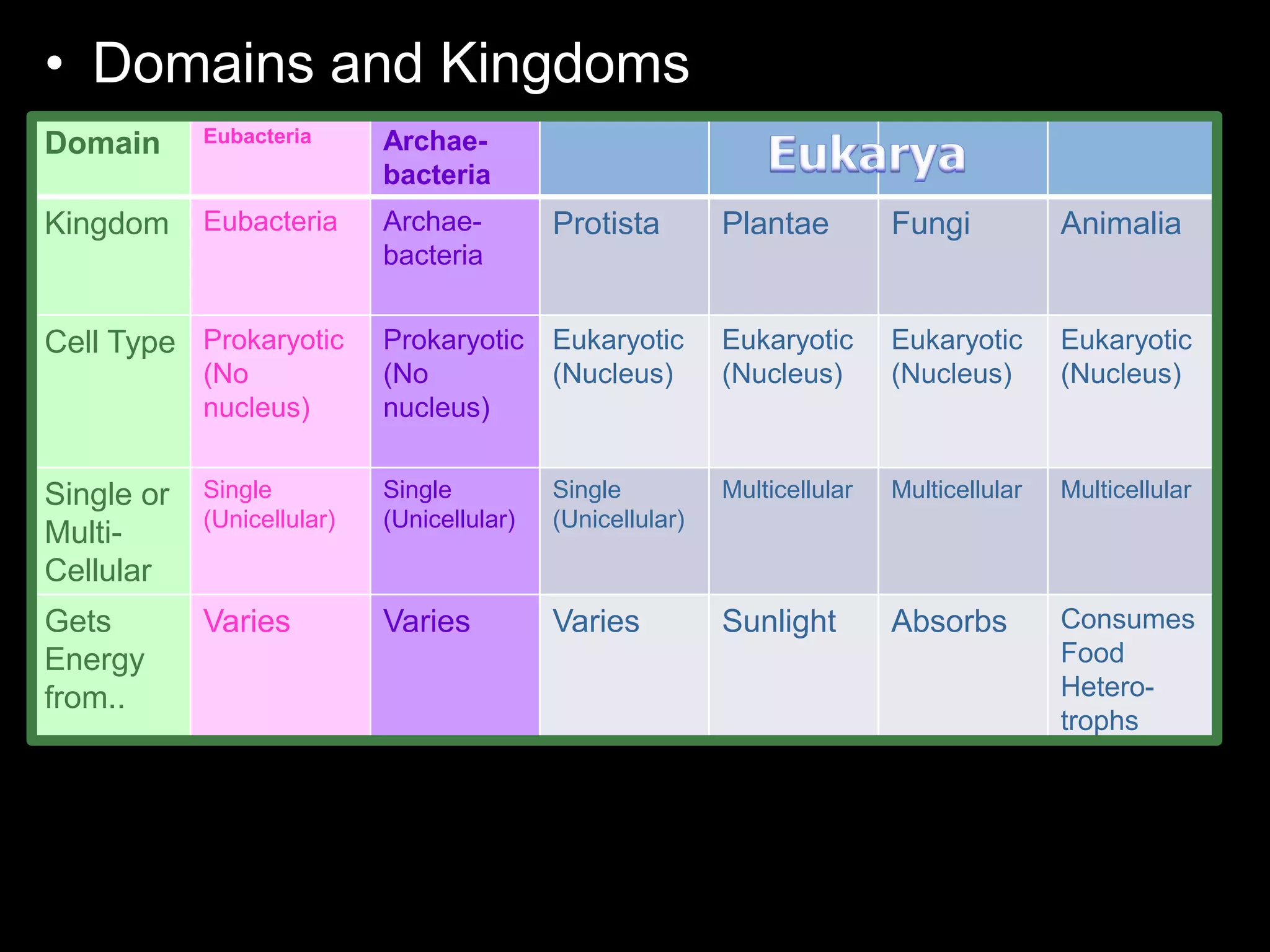 Kingdom Animalia Biology Lesson PowerPoint, Taxonomy, Animal Phylums | PPTX