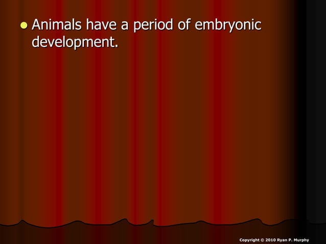 Kingdom Animalia Biology Lesson PowerPoint, Taxonomy, Animal Phylums | PPTX