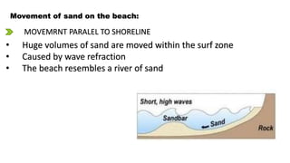 part marine environment.pptx only marginal marine environmrnts | PPT