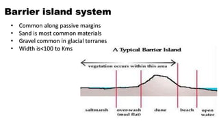 part marine environment.pptx only marginal marine environmrnts | PPT