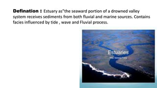 part marine environment.pptx only marginal marine environmrnts | PPT