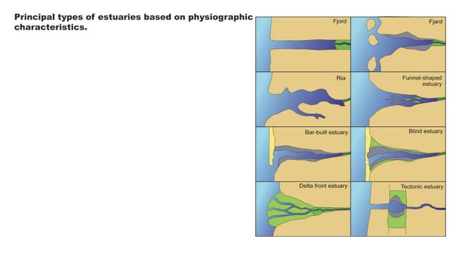 part marine environment.pptx only marginal marine environmrnts | PPT